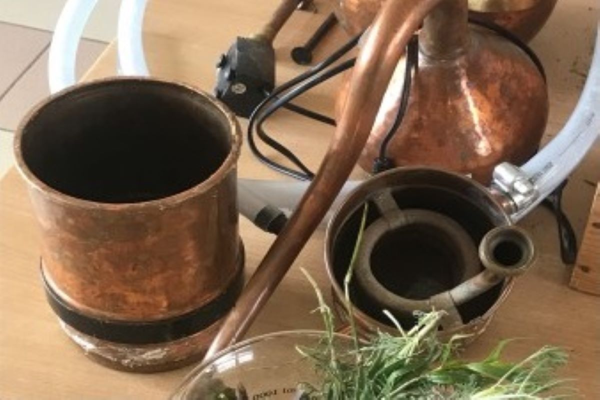 JE DISTILLE MES EAUX FLORALES ET DÉCOUVRE LEURS USAGES – ATELIER ...